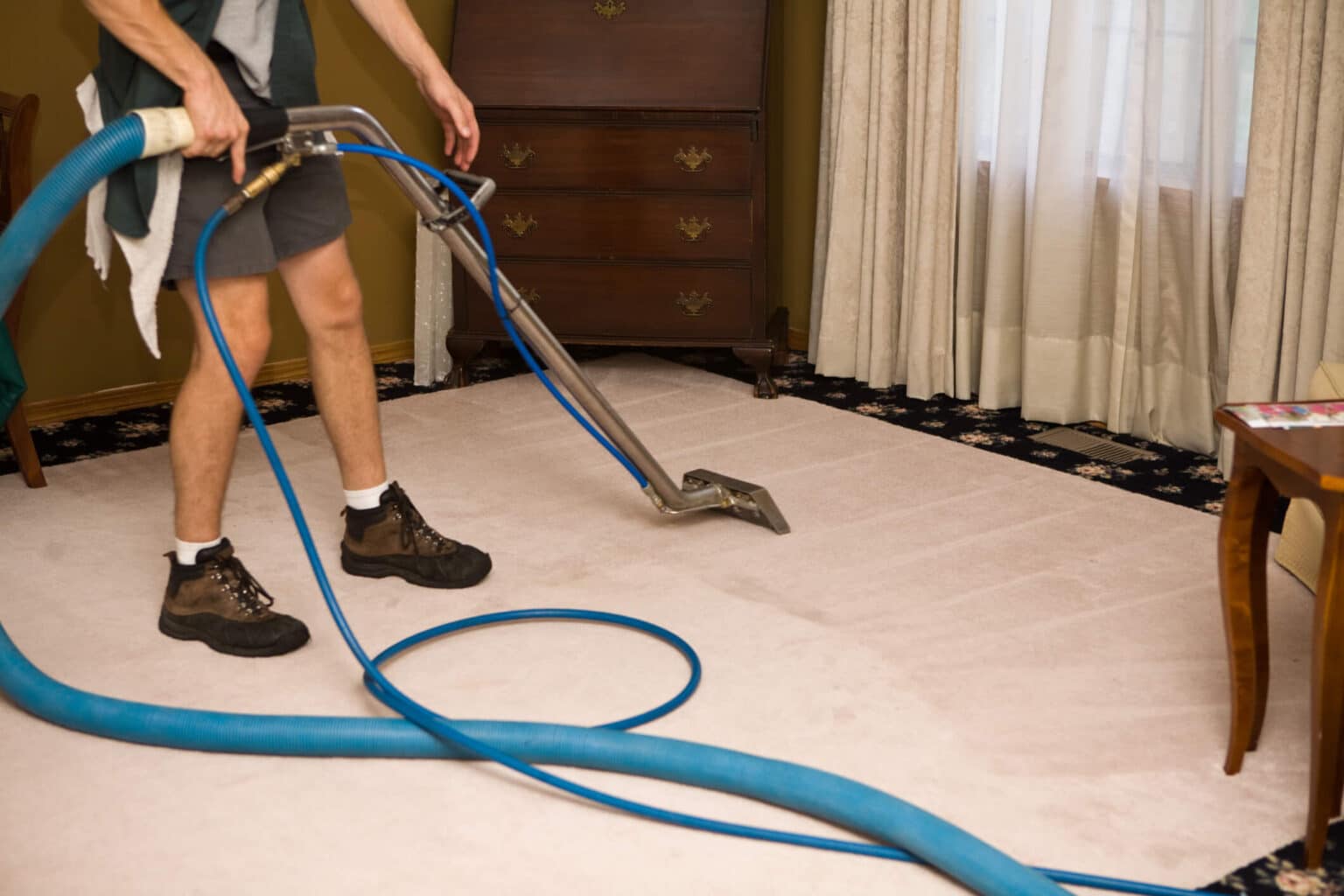 Best Professional Carpet Cleaning Serving Salt Lake & Utah County